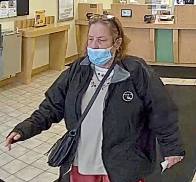 State police seek identity of woman allegedly involved in bank fraud ...